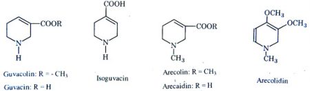 Cây Cau - Đặc điểm thực vật, công dụng, thành phần, kiểm nghiệm