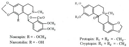 Cây thuốc phiện – Hoa anh túc