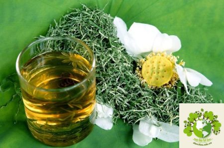 Cây Sen - Đặc điểm thực vật, công dụng, thành phần hóa học