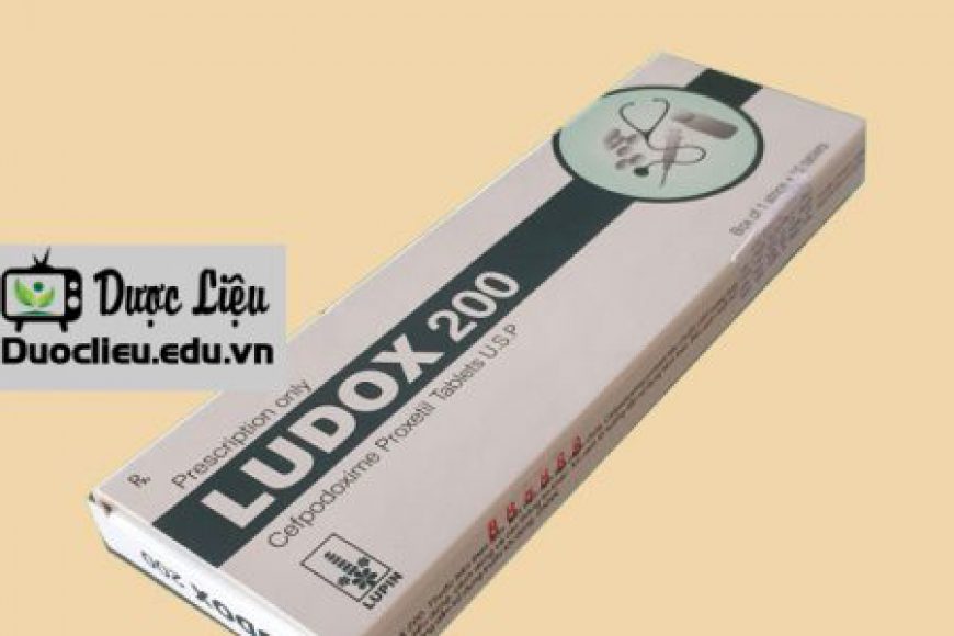 [2019] Review Thuốc Ludox có tác dụng gì? Giá bao nhiêu? Mua ở đâu?