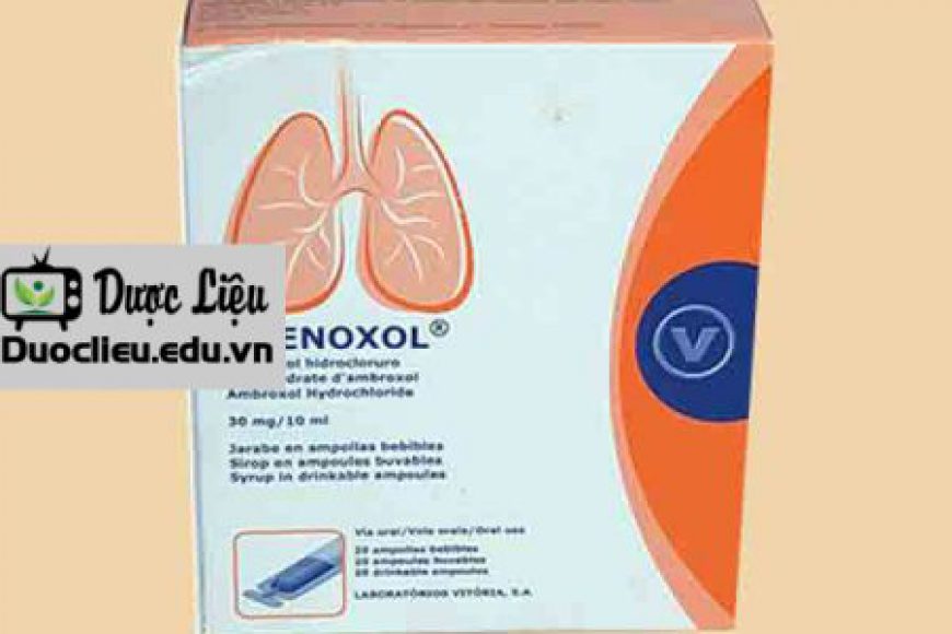 [2019] Thuốc Drenoxol 30mg là thuốc gì? Có tác dụng gì? Giá bao nhiêu?