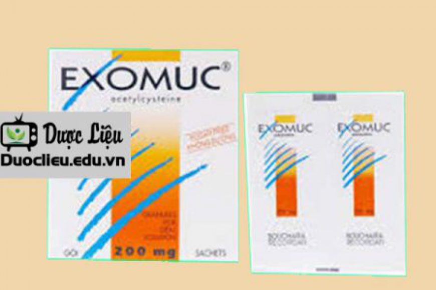 [2019] Review Thuốc Exomuc có tác dụng gì? Giá bao nhiêu? Mua ở đâu?